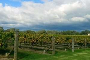 Top 10 Perth Wineries, Tours & Hotels | Armchair Sommelier